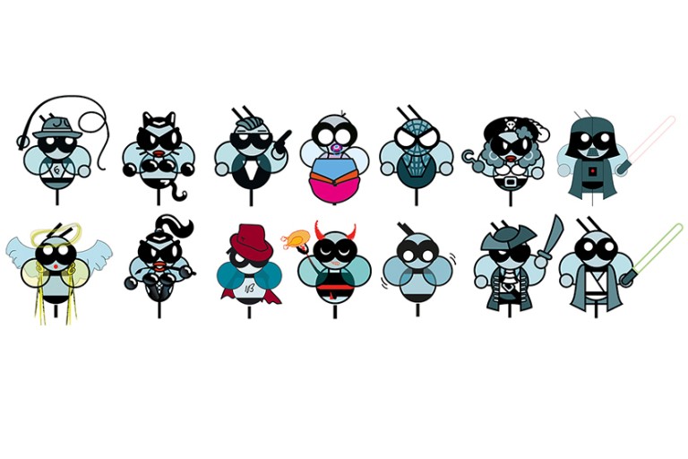 hb management | team